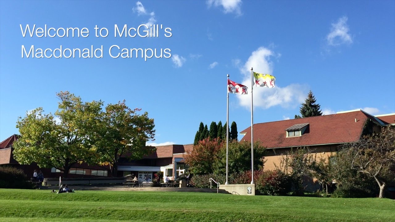 McGill University : Rankings, Fees & Courses Details | Top Universities