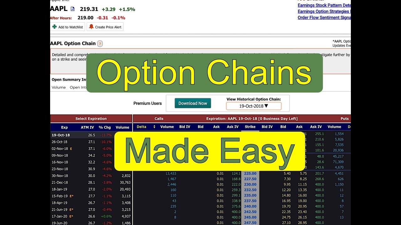 How to use an Option Chain - Options Trading Education