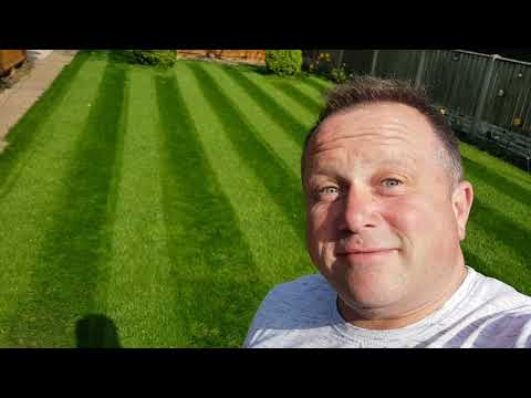Lawn lovers. This is for you!