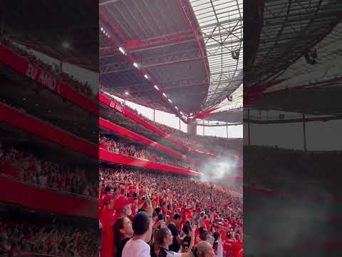 Eu Amo o Benfica