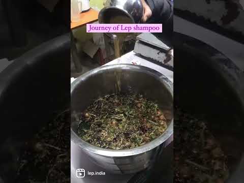 Soap Nut - Ritha Latest Price, Manufacturers & Suppliers