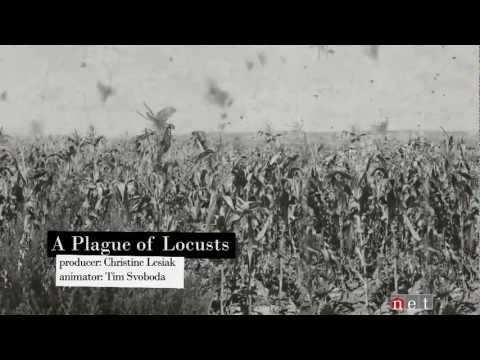 A Plague of Locusts | Nebraska Stories