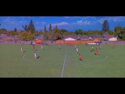 Game Highlights A. McGill #10