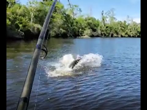 Vexan Inshore TANK Rods