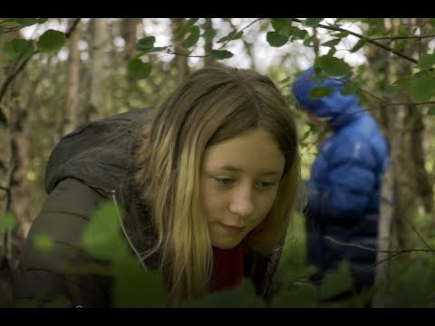 Learning through Landscapes – Literacy Outdoors | Learning Outdoors ...