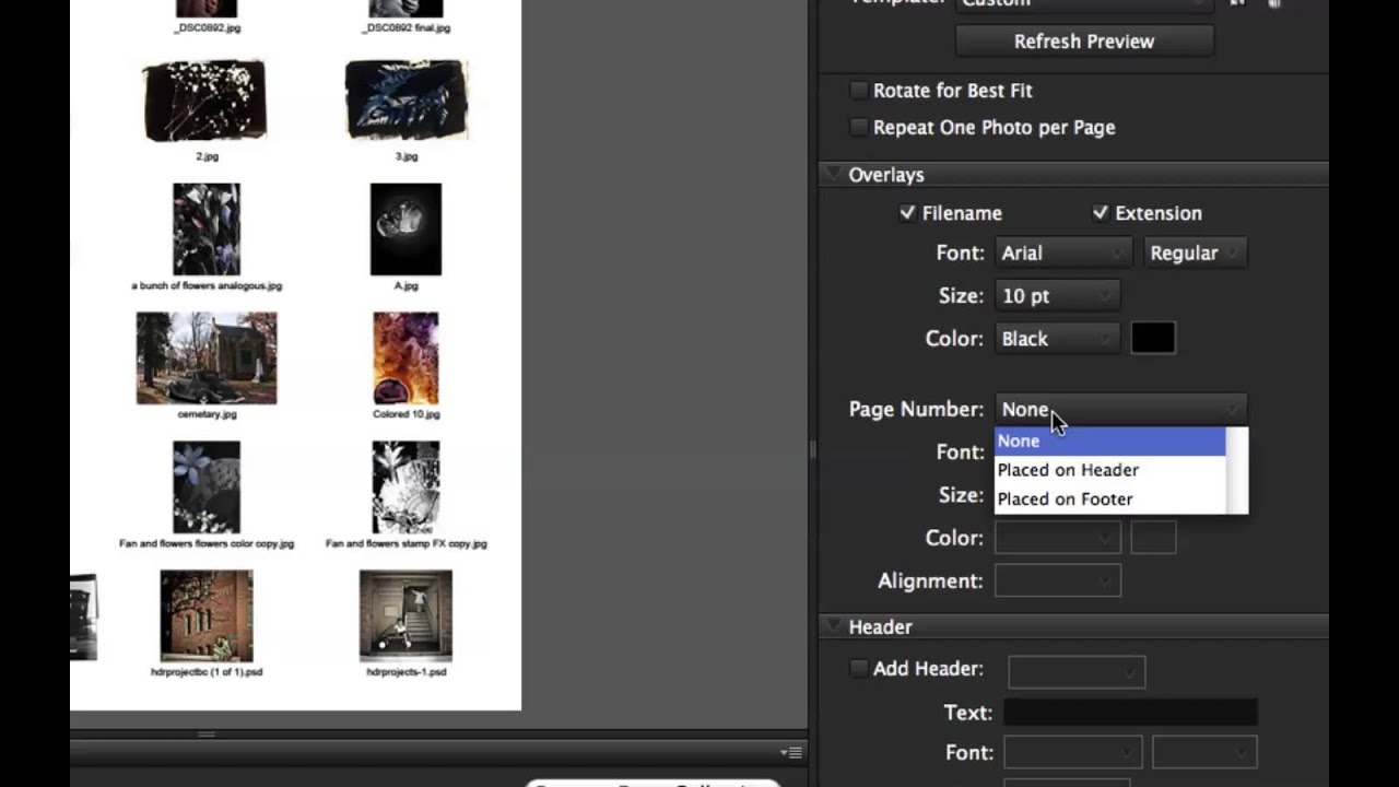 Contact Sheets in Bridge CS6 part 2 Headers and Footers