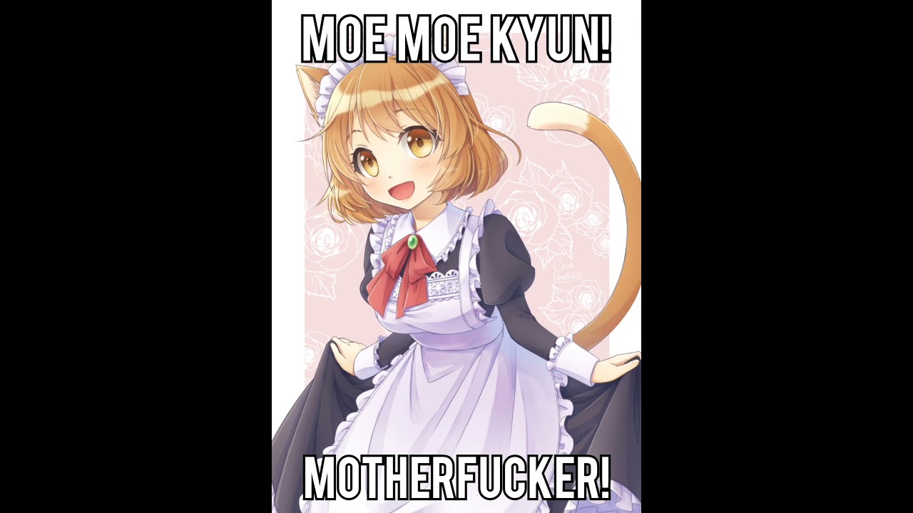 Moe Moe Kyun!