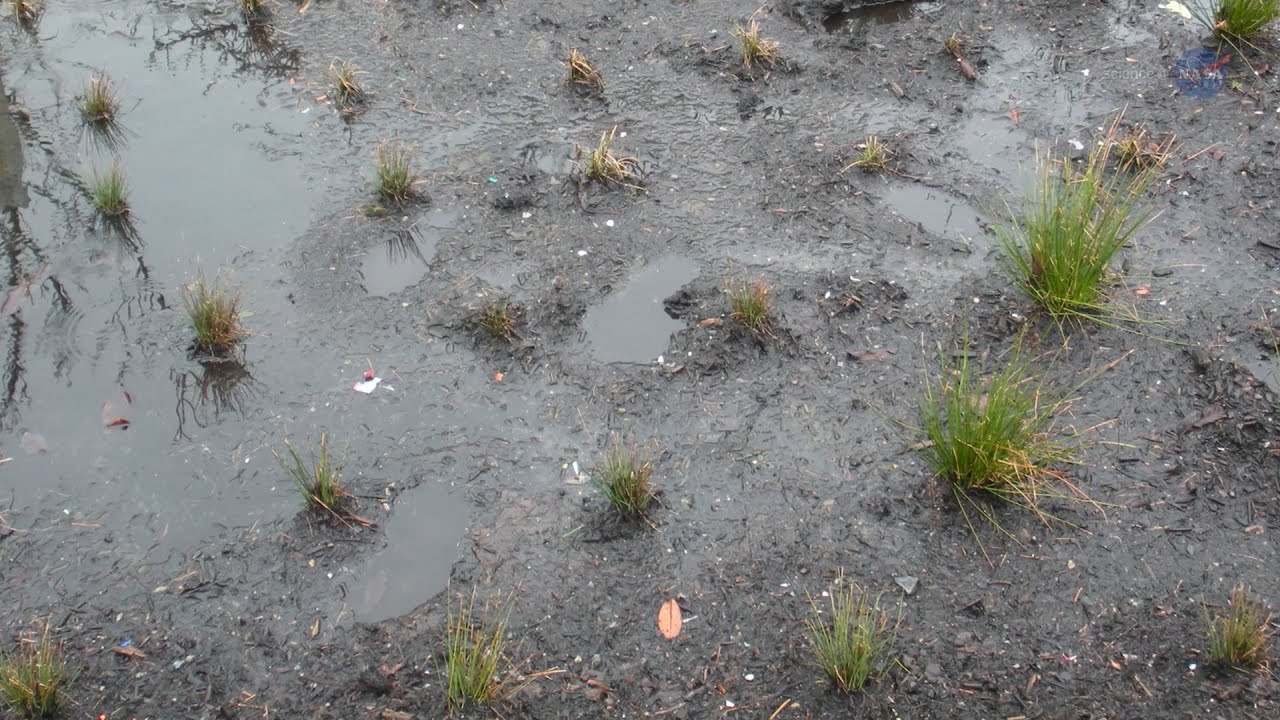 La importancia del lodo