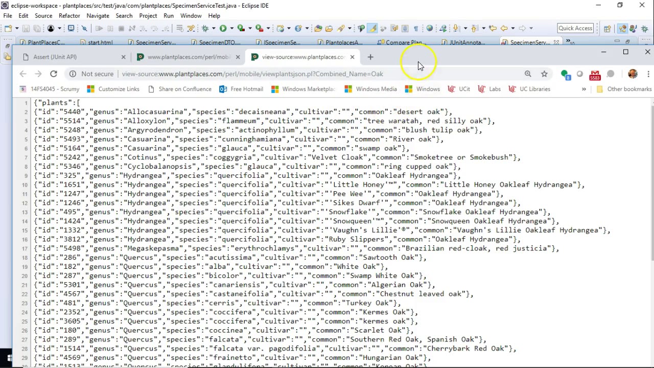 Test Driven Design/BDD with Spring Boot Example
