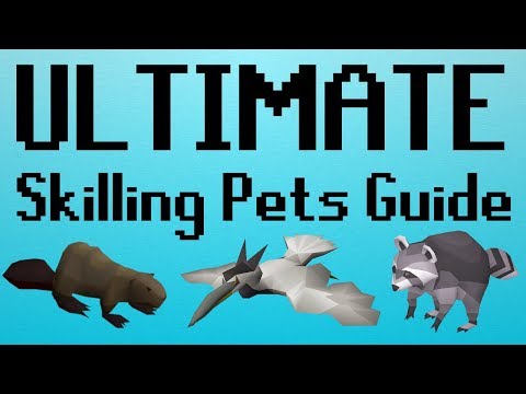[OSRS] ULTIMATE Skilling Pets Guide (With Comparisons)