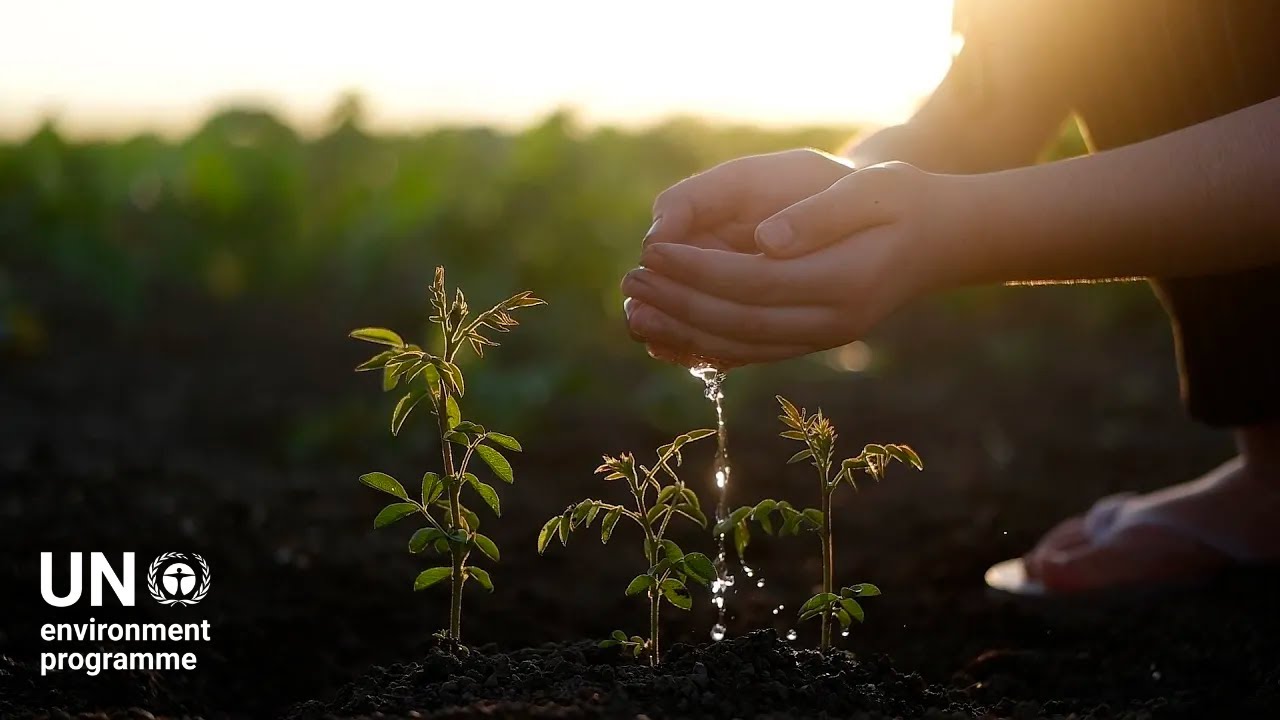Transforming our food systems: Feeding the world while nourishing the planet