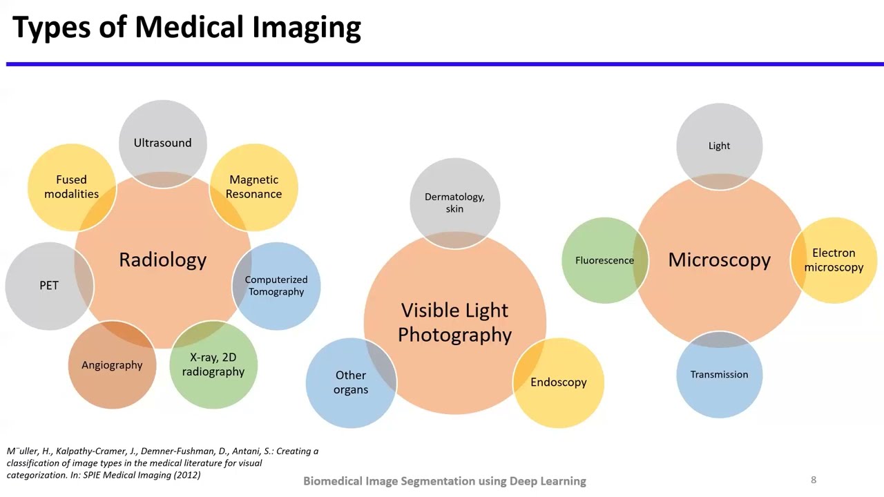“Biomedical Image Segmentation using Deep Learning”
