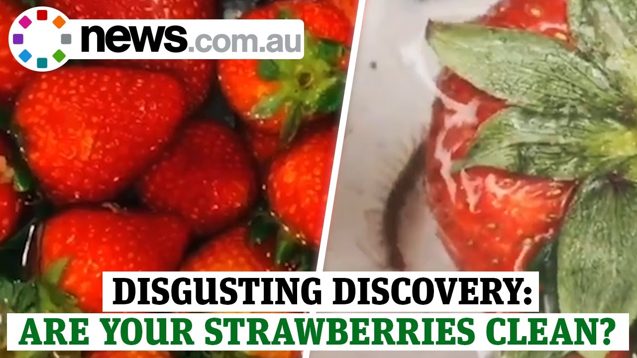Disgusting discovery: the test to see if your strawberries are full of bugs