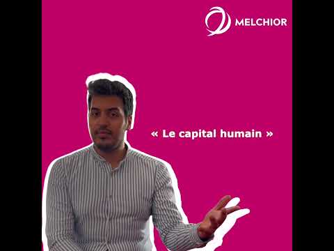 "Le dico vivant de l'éco" - Le capital humain - #MisterMelchior