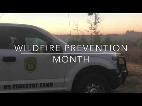 Wildfire Prevention Month