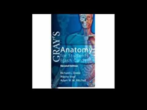Gray's Anatomy for Students Flash Cards with STUDENT CONSULT Online Access, 2e