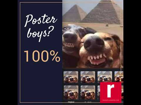 Poster boys? 100% - Music Promotion Radio Pluggers Radio Promotion Radio Airplay Music Promo