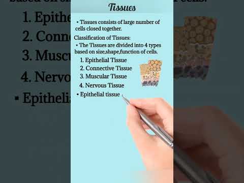 Tissues || Anatomy and Physiology || Medi Queries.