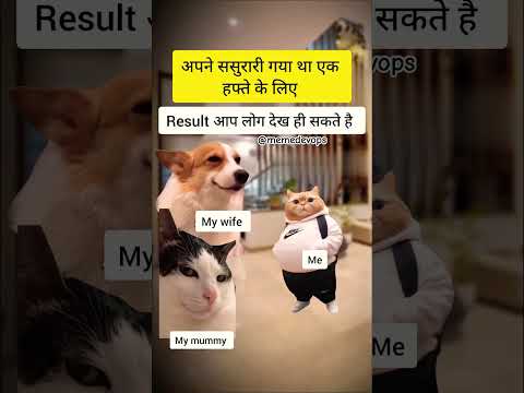 dog meme | dog barking sound | dog meme side eye |viral memes 2025 #dogmemes #memes #virelshorts