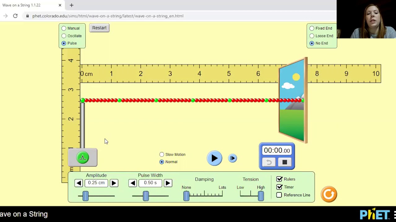 Part 1 Wave on a String Follow Along Lab