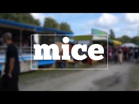 How to spell mice