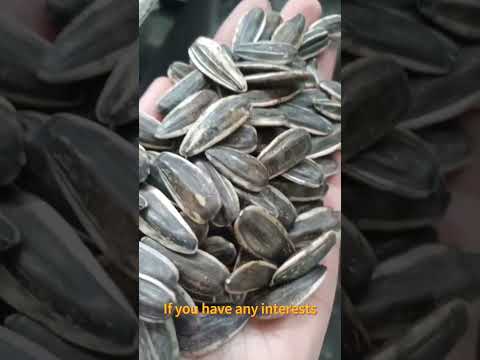 How to find Chinese Sunflower Seeds?#sunflowerseed #seeds #seed #eating #baking #bakery 🥧🥧
