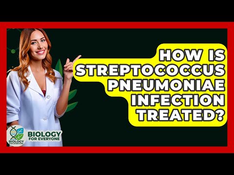How Is Streptococcus Pneumoniae Infection Treated? - Biology For Everyone