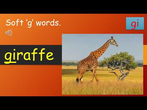Soft 'g' words 1
