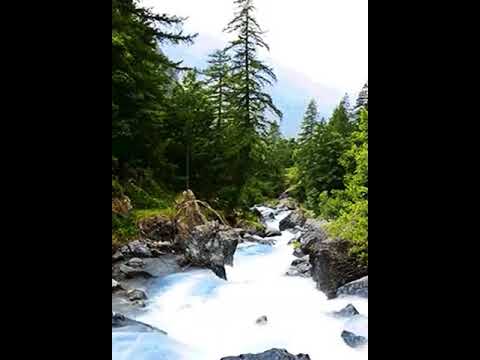 River Live Wallpaper Animated Images Gif