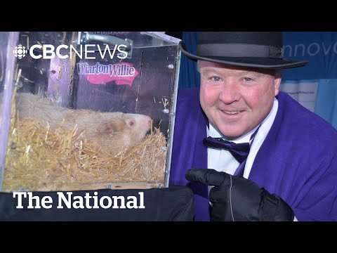 Groundhog Day 2025: Animals at odds over spring’s arrival