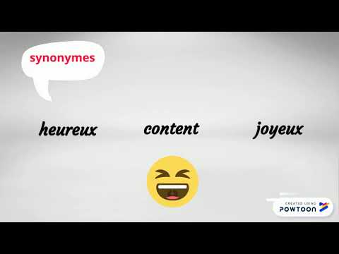 LES SYNONYMES