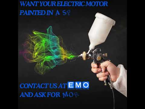Want your electric motor painted in a special colour of finish?