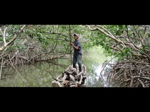 Faros de Esperanza | Área de Protección de Flora y Fauna | Laguna de Términos [Campeche y Tabasco]