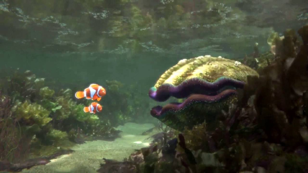 Finding Dory - The Clam Scene