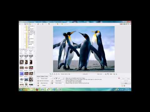 Photoscape Clone Tool Tutorial