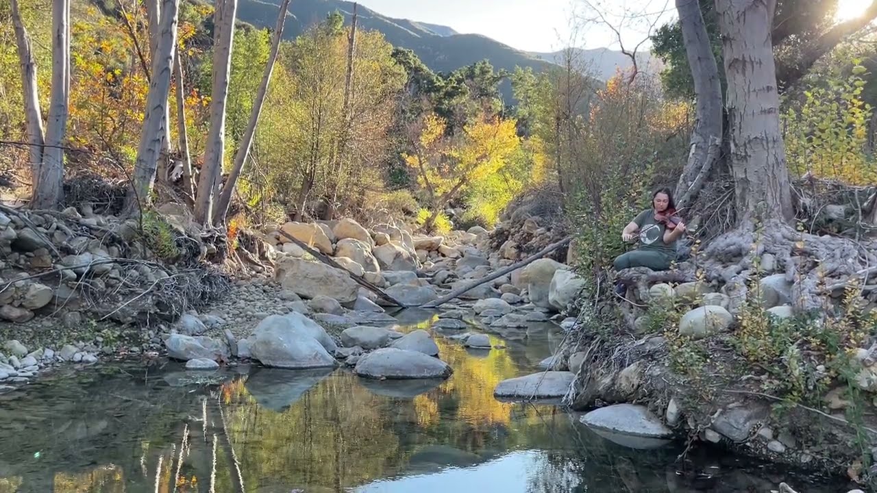 Debbie Plays the Fiddle: Home Sweet Home