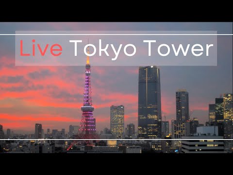 SakuraLive - Watch live webcams across Japan