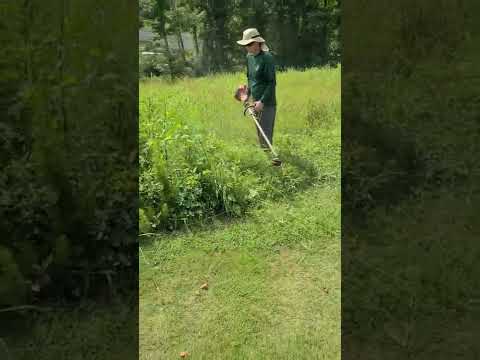 Weedeater Trying to Cut Really Thick Weeds