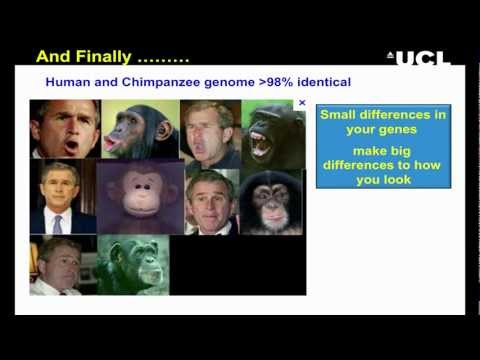 Genetic testing for risk of Heart Disease: fact or fiction? (23 Feb 2012)