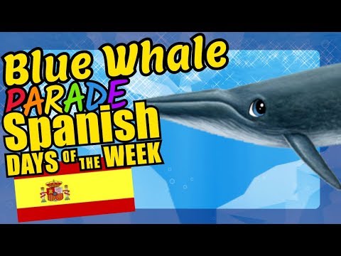 Blue Whale Teaching the Days of the Week in Spanish Educational Language Video for Kids