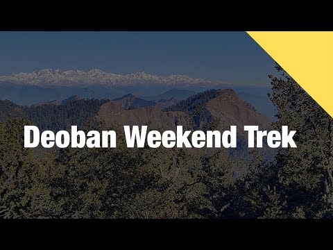 Deoban Weekend Trek 2022 - Indiahikes