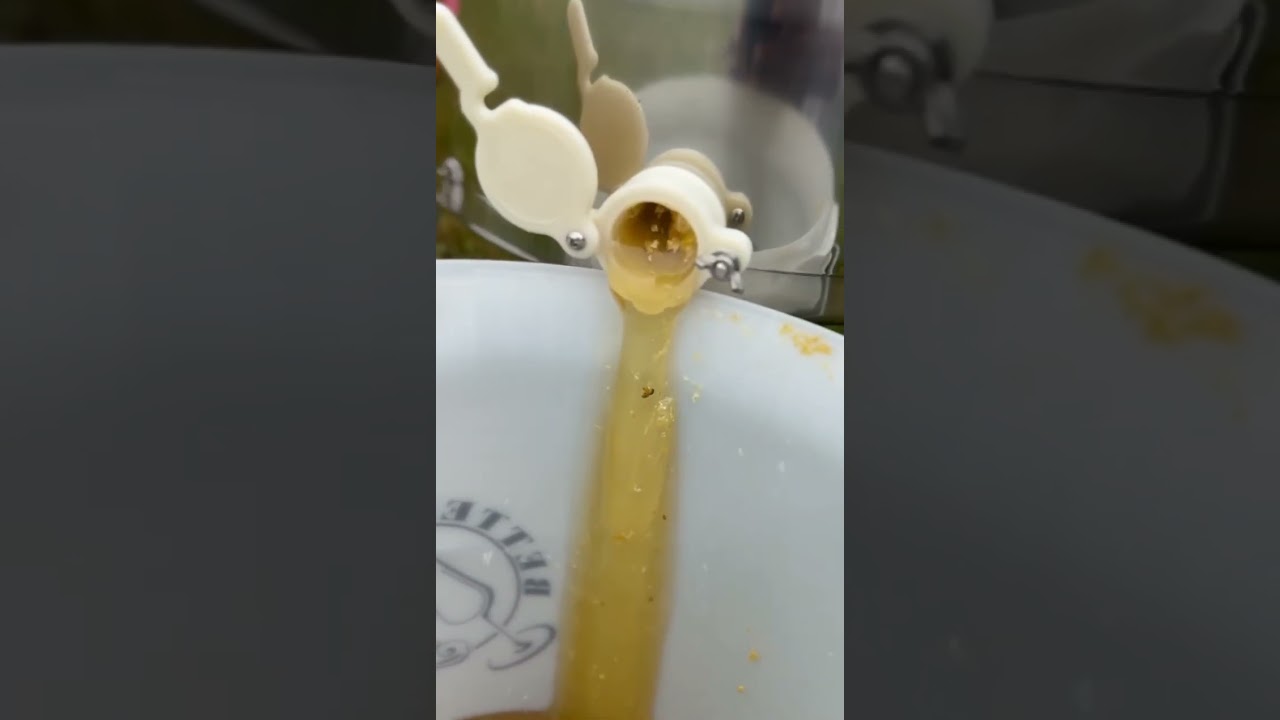 Insight Community Project -  The Hive. First honey harvest.