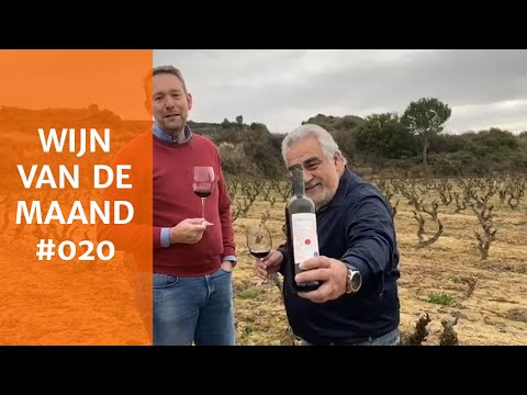 Wijn Van De Maand #020 (Februari) - Bodegas Tierra El Primavera [WINEPLUS]