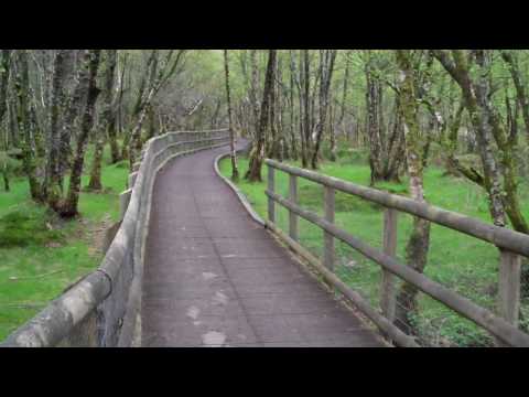 How to mispronounce Irish Place names