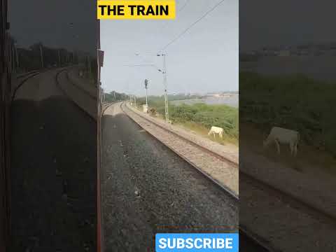 Train Short quotes | Train short terminated refund | train short story | train short name | #beta