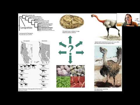 Oviraptorosaurs – The Growth and Hidden Diversity of North America’s Mysterious Bird-like Dinosaurs