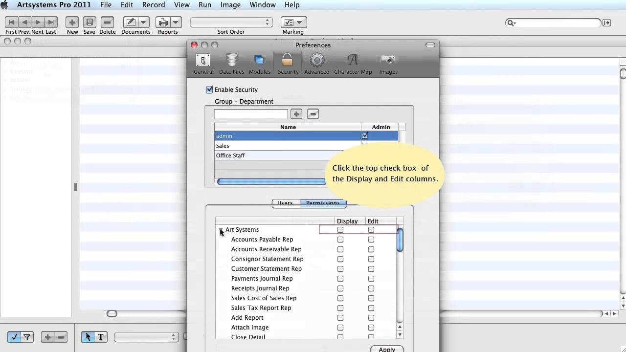 Artsystems Pro - Security Setup