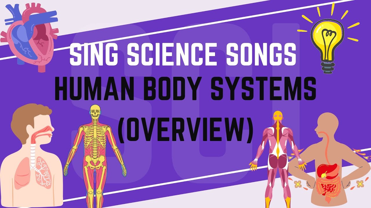 Human Body Systems (Overview) - Sing Science Songs for Kids