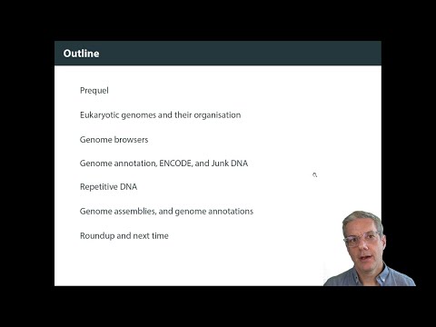 ENCODE, Junk DNA, and Repetitive elements
