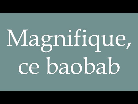 How to Pronounce ''Magnifique, ce baobab'' (Magnificent, this baobab) Correctly in French